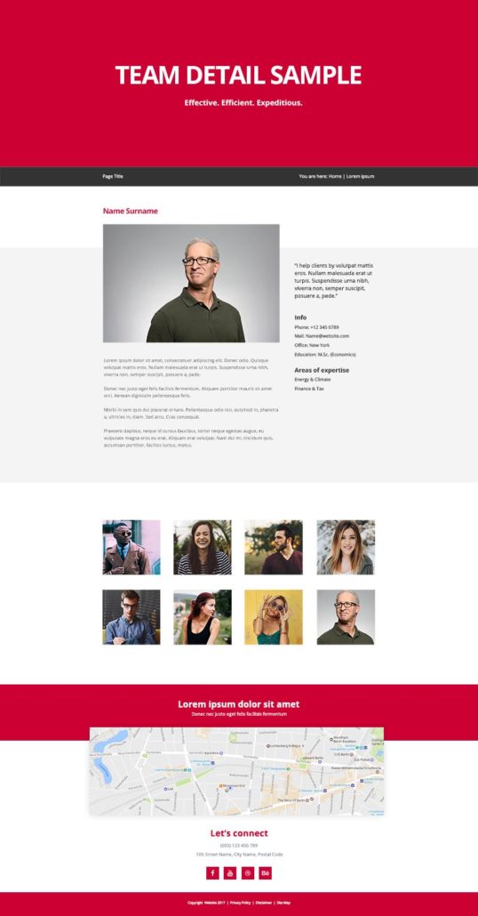 Divi theme page layout pack - Unicorn Bundle